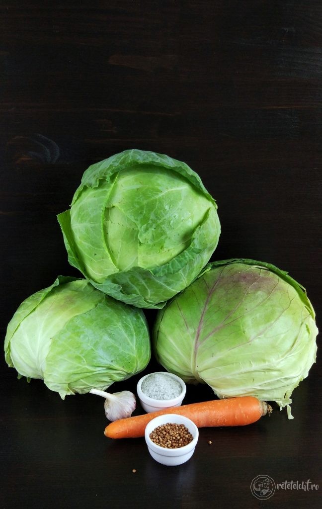 Varză murată tocată – Rețete LCHF